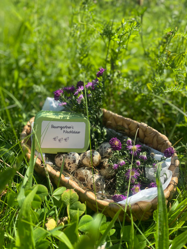 Maria Baumgartner - Meggen-Hof-Kisterl